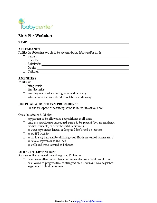 Birth Plan Worksheet 1 - PDFSimpli