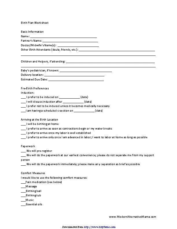 Birth Plan Worksheet 2 - PDFSimpli
