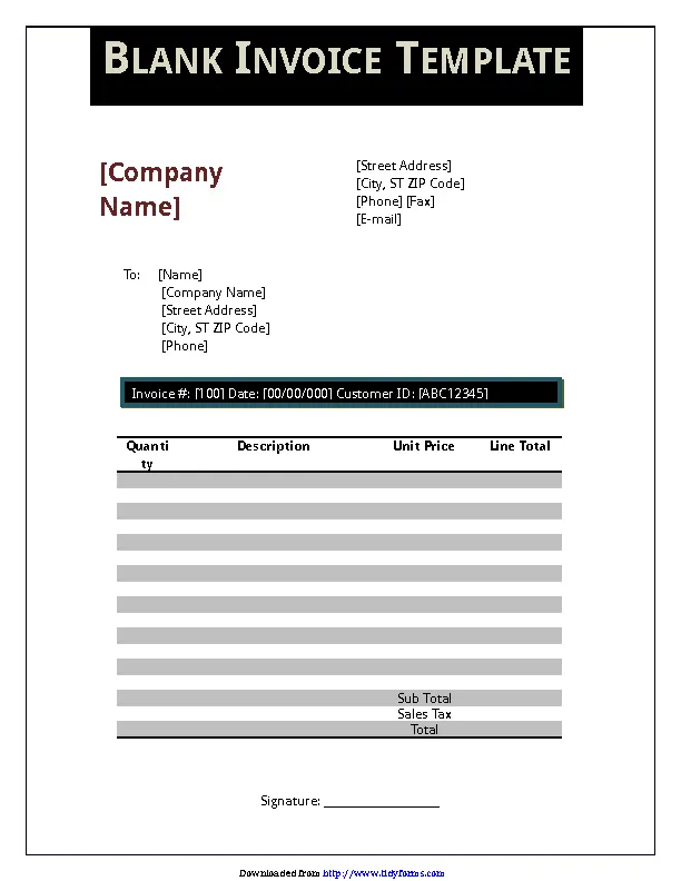 Blank Invoice Template 3 - PDFSimpli