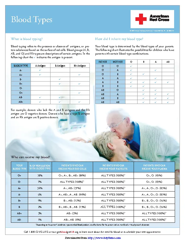 Blood Type Chart 2 - PDFSimpli