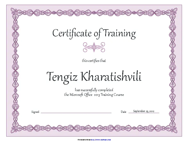 Certificate Of Training Purple Chain Design - PDFSimpli
