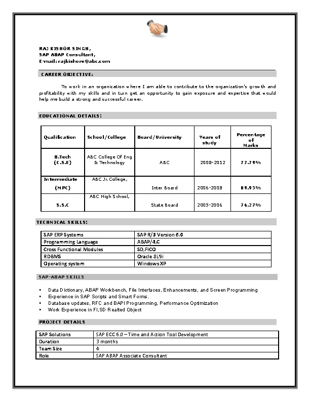 Cv Format For A Sap Consultant - PDFSimpli