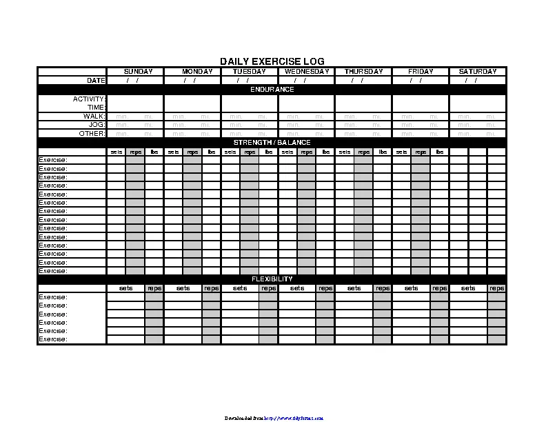 Daily Exercise Log - PDFSimpli