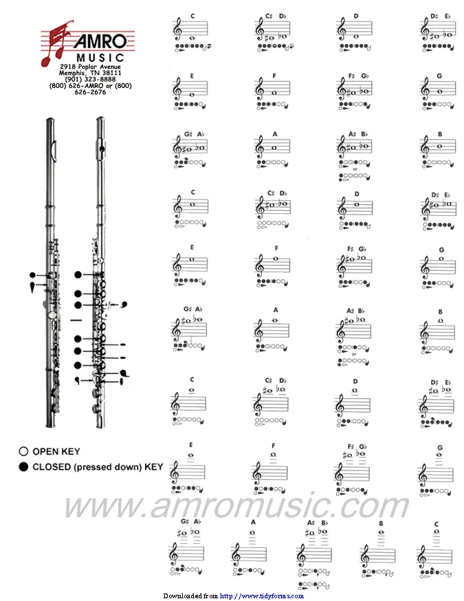 Flute Fingering Chart 1 - PDFSimpli