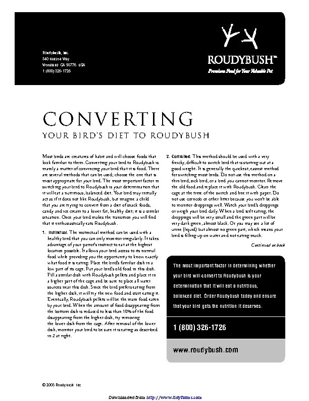 Flyer Template 1 - PDFSimpli