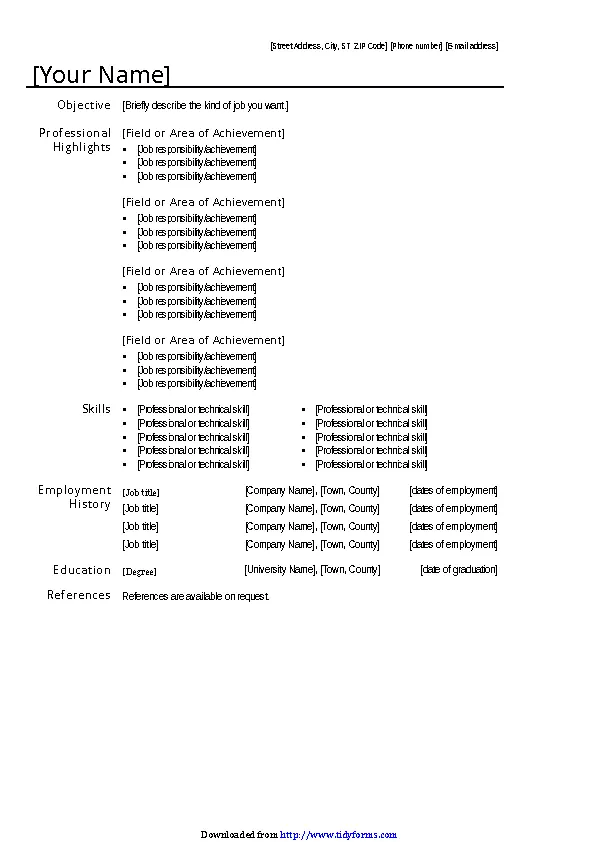 Functional Cv Modern Theme - PDFSimpli