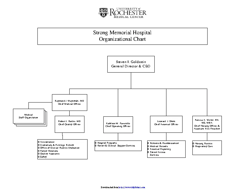 Hospital Organizational Chart 3 - PDFSimpli
