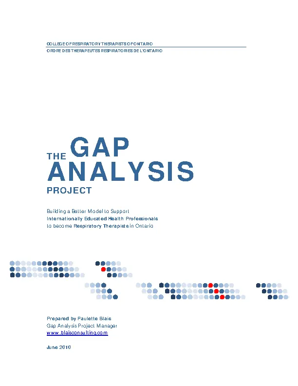 Information Technology Project Gap Analysis Template - PDFSimpli