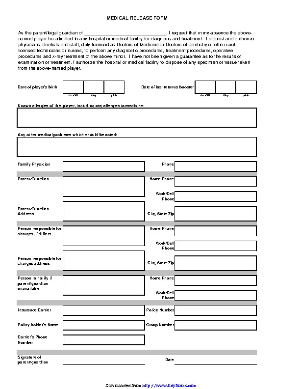 Iowa Medical Release Form - PDFSimpli