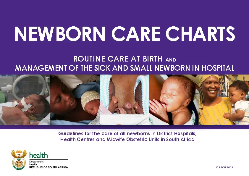 Newborn Care Chart Template - PDFSimpli