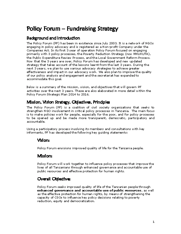Ngo Fundraising Strategy Template - PDFSimpli