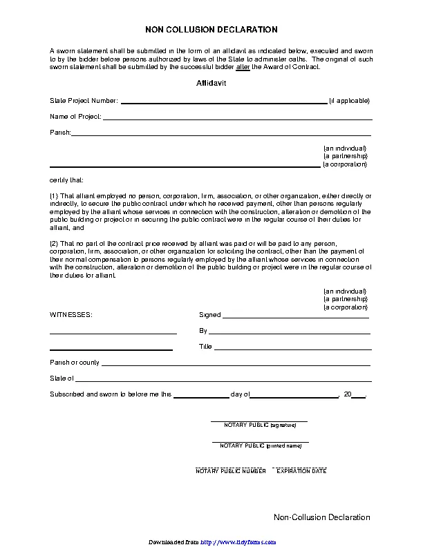 Non Collusion Declaration - PDFSimpli