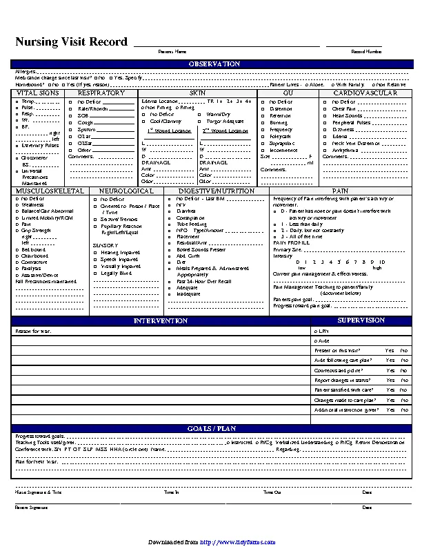 Nursing Visit Record - PDFSimpli