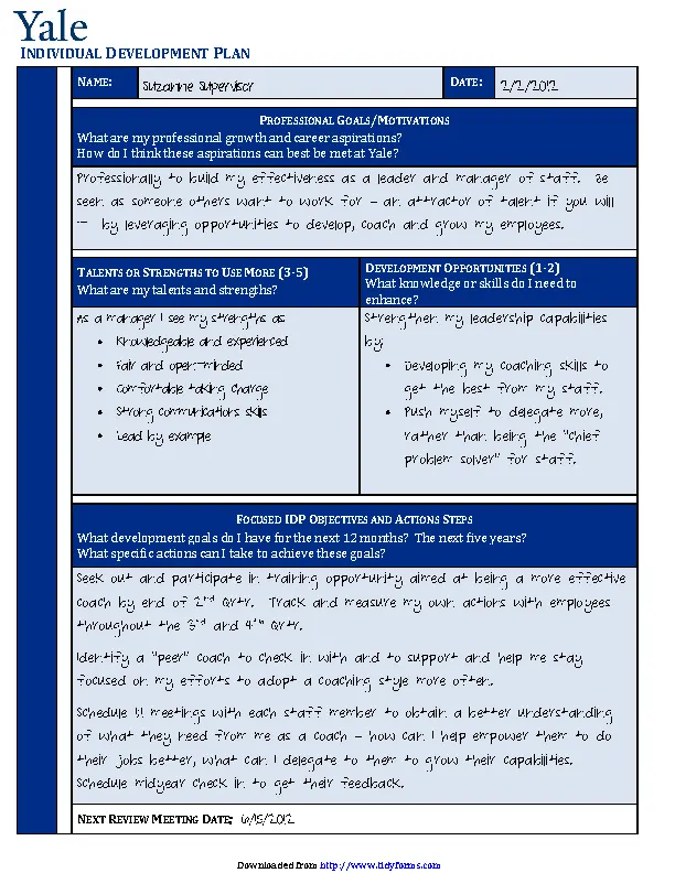 Personal Development Plan Sample 2 - PDFSimpli