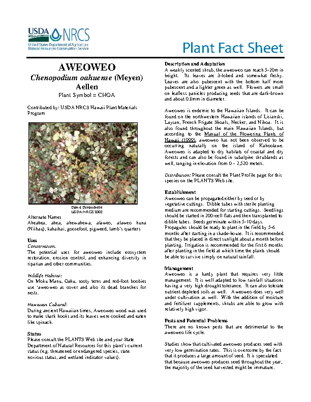 Plant Fact Sheet Template Pdf Printable Download - PDFSimpli
