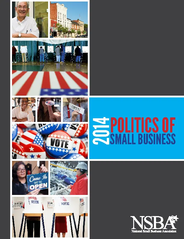 Political Surveys Template - PDFSimpli