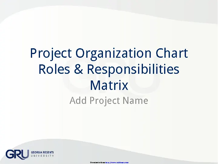 Project Organization Chart - PDFSimpli