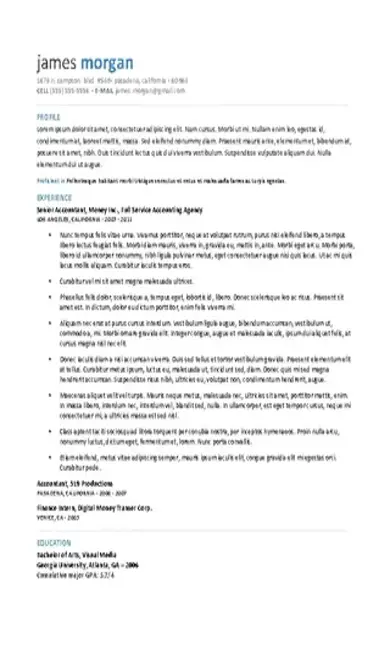 Dublin Resume Sample - PDFSimpli