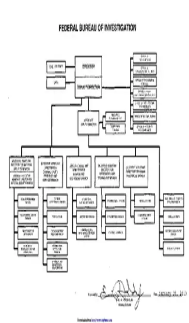 Fbi Organizational Chart 1 - PDFSimpli