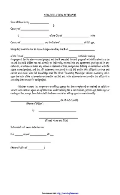 Non Collusion Affidavit 1 - PDFSimpli