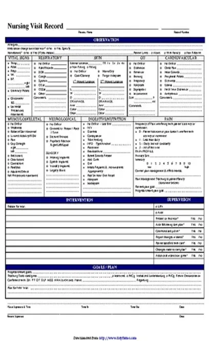 Nursing Visit Record - PDFSimpli