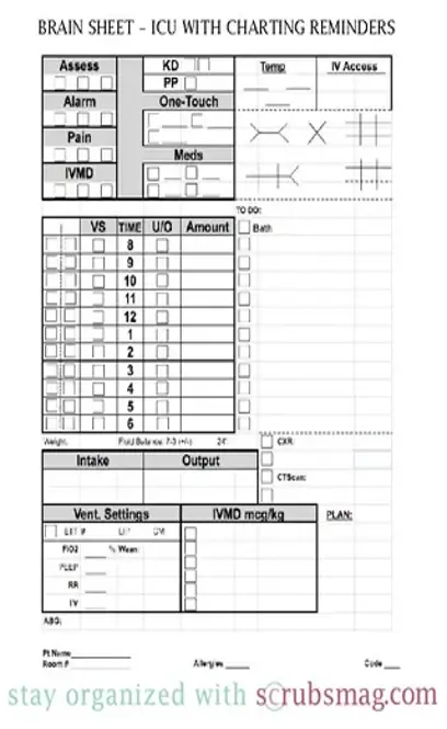 Nursing Worksheet Brain Sheet Template Download - PDFSimpli