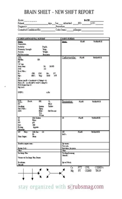 Nursing Worksheet Template Example For Pdf - PDFSimpli