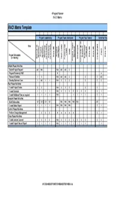 Raci Matrix Template Excel - PDFSimpli