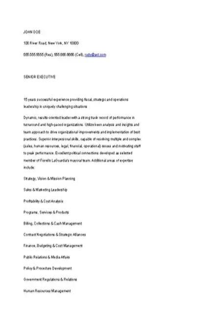 Sample Ceo And Executive Resume - PDFSimpli