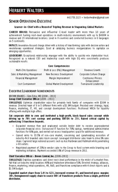Sample Ceo Resume - PDFSimpli