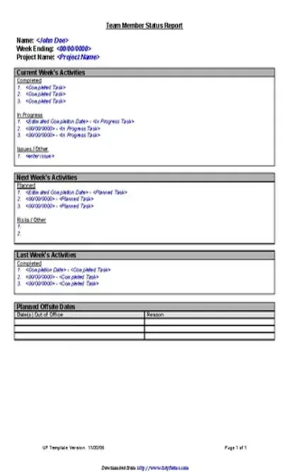 Team Member Status Report Template - PDFSimpli