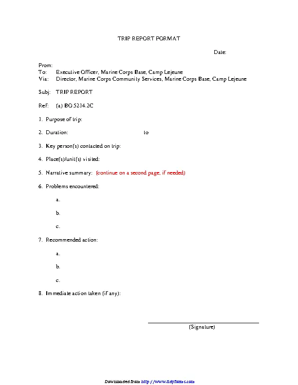 Trip Report Template 1 - PDFSimpli