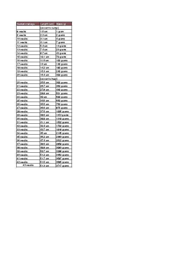 Unborn Baby Growth Chart In Excel PDFSimpli